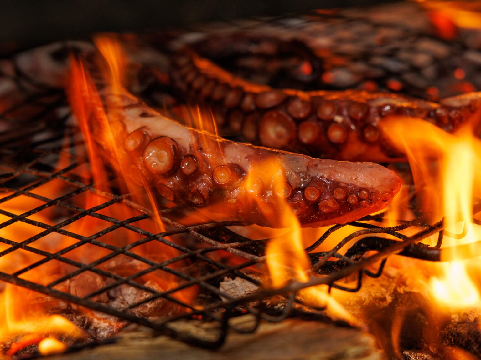 Quetzal | Canada’s 100 Best Restaurants, Bars and Chefs.